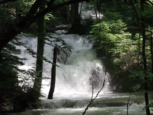 OCHIUL BEIULUI, CASCADA BEUSNITA SI RAFTING PE RAUL NERA – TARA DACILOR