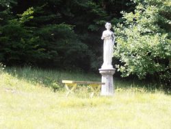 CONACUL GOLESTILOR, VILA FLORICA A BRATIENILOR, CONACUL MICESTI – TARA ...