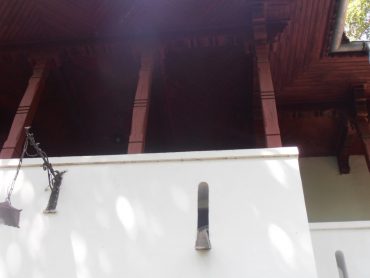 CONACUL GOLESTILOR, VILA FLORICA A BRATIENILOR, CONACUL MICESTI – TARA ...
