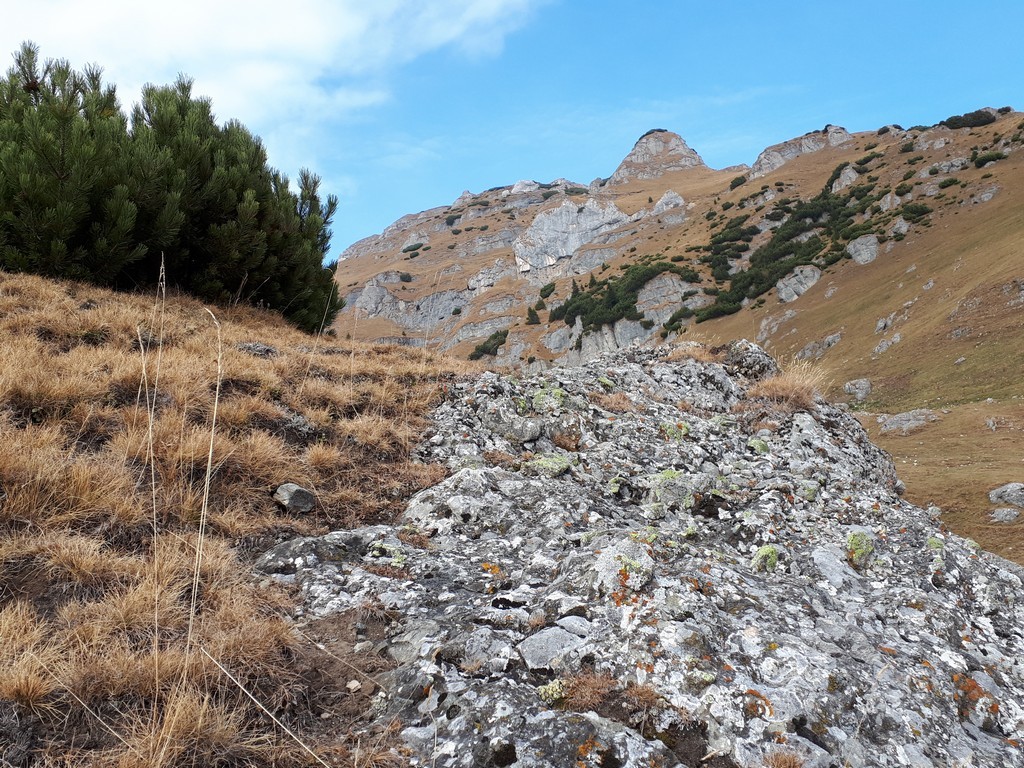 SUS IN PADINA SI DE ACOLO LA CASCADA DOAMNEI, GURA DE RAI SI CASCADA ...