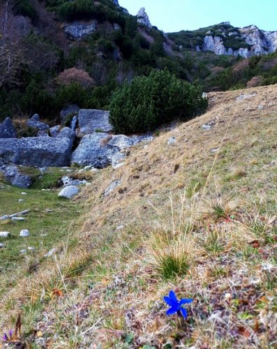 SUS IN PADINA SI DE ACOLO LA CASCADA DOAMNEI, GURA DE RAI SI CASCADA ...