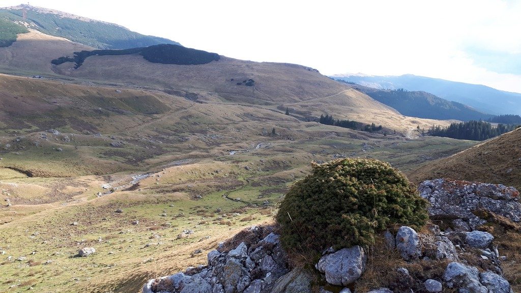 SUS IN PADINA SI DE ACOLO LA CASCADA DOAMNEI, GURA DE RAI SI CASCADA ...