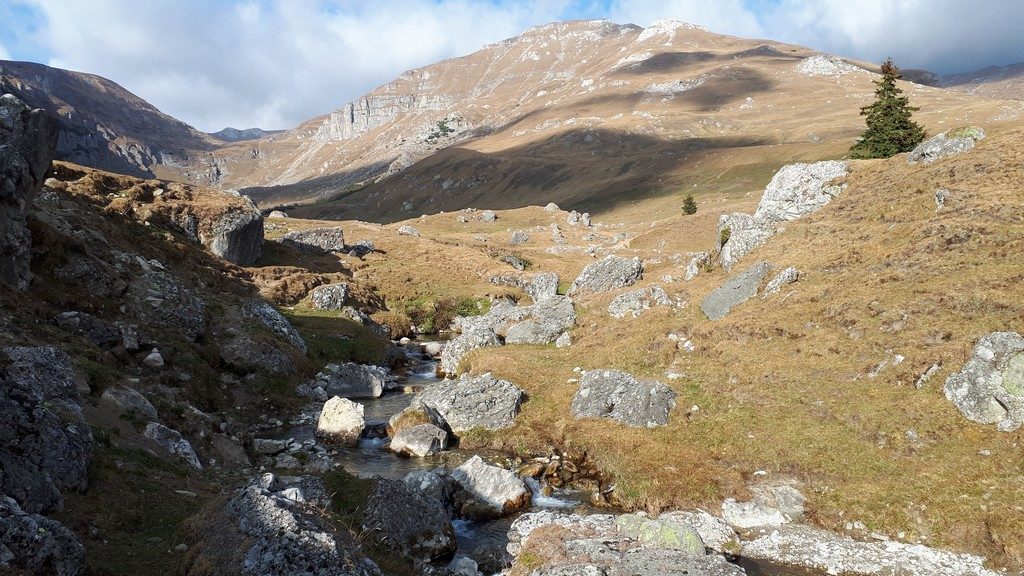 SUS IN PADINA SI DE ACOLO LA CASCADA DOAMNEI, GURA DE RAI SI CASCADA ...