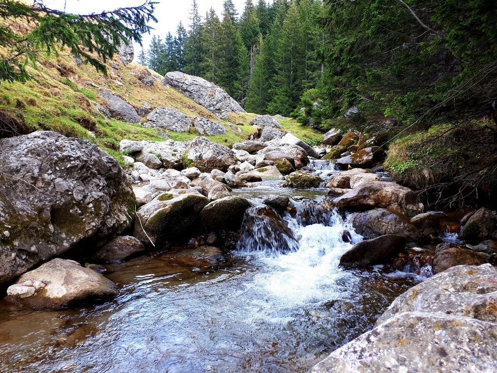 SUS IN PADINA SI DE ACOLO LA CASCADA DOAMNEI, GURA DE RAI SI CASCADA ...