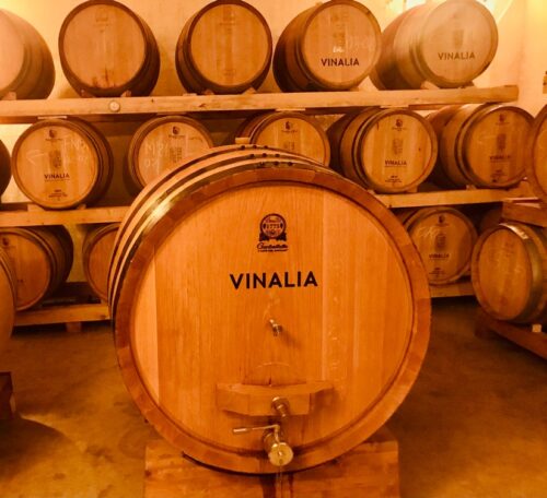 VINALIA-Conacul din Ceptura cu numele inspirat de sărbătoarea vinului ...