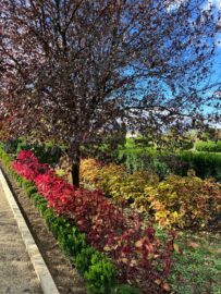 I GIARDINI DI ZOE. IN VIZITA LA GRADINILE DIN BANPOTOC. – TARA DACILOR