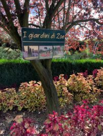 I GIARDINI DI ZOE. IN VIZITA LA GRADINILE DIN BANPOTOC. – TARA DACILOR