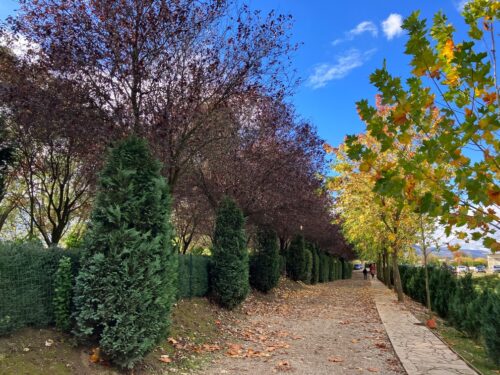 I GIARDINI DI ZOE. IN VIZITA LA GRADINILE DIN BANPOTOC. – TARA DACILOR
