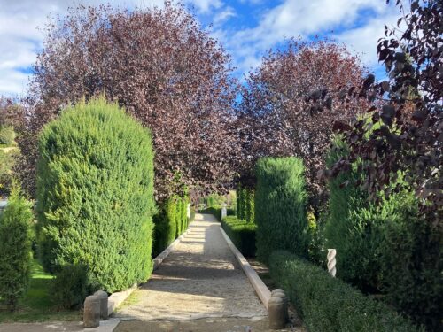 I GIARDINI DI ZOE. IN VIZITA LA GRADINILE DIN BANPOTOC. – TARA DACILOR