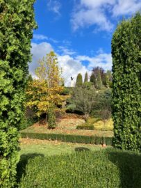 I GIARDINI DI ZOE. IN VIZITA LA GRADINILE DIN BANPOTOC. – TARA DACILOR