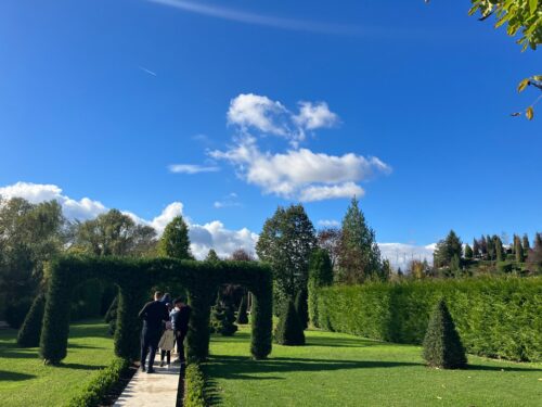 I GIARDINI DI ZOE. IN VIZITA LA GRADINILE DIN BANPOTOC. – TARA DACILOR