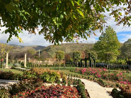 I GIARDINI DI ZOE. IN VIZITA LA GRADINILE DIN BANPOTOC. – TARA DACILOR