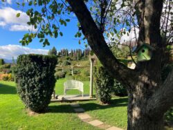 I GIARDINI DI ZOE. IN VIZITA LA GRADINILE DIN BANPOTOC. – TARA DACILOR