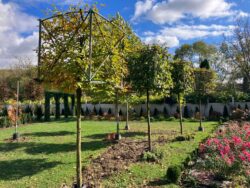 I GIARDINI DI ZOE. IN VIZITA LA GRADINILE DIN BANPOTOC. – TARA DACILOR