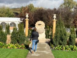 I GIARDINI DI ZOE. IN VIZITA LA GRADINILE DIN BANPOTOC. – TARA DACILOR