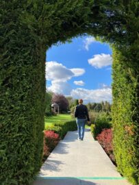 I GIARDINI DI ZOE. IN VIZITA LA GRADINILE DIN BANPOTOC. – TARA DACILOR