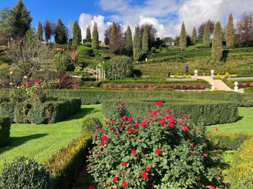 I GIARDINI DI ZOE. IN VIZITA LA GRADINILE DIN BANPOTOC. – TARA DACILOR