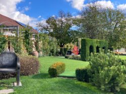 I GIARDINI DI ZOE. IN VIZITA LA GRADINILE DIN BANPOTOC. – TARA DACILOR