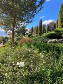 I GIARDINI DI ZOE. IN VIZITA LA GRADINILE DIN BANPOTOC. – TARA DACILOR
