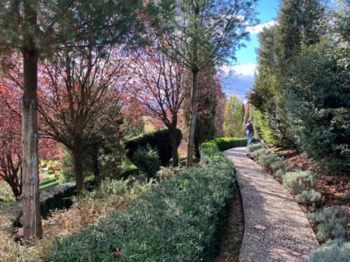 I GIARDINI DI ZOE. IN VIZITA LA GRADINILE DIN BANPOTOC. – TARA DACILOR