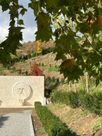 I GIARDINI DI ZOE. IN VIZITA LA GRADINILE DIN BANPOTOC. – TARA DACILOR