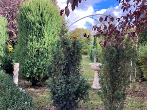 I GIARDINI DI ZOE. IN VIZITA LA GRADINILE DIN BANPOTOC. – TARA DACILOR