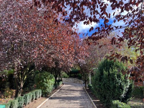 I GIARDINI DI ZOE. IN VIZITA LA GRADINILE DIN BANPOTOC. – TARA DACILOR